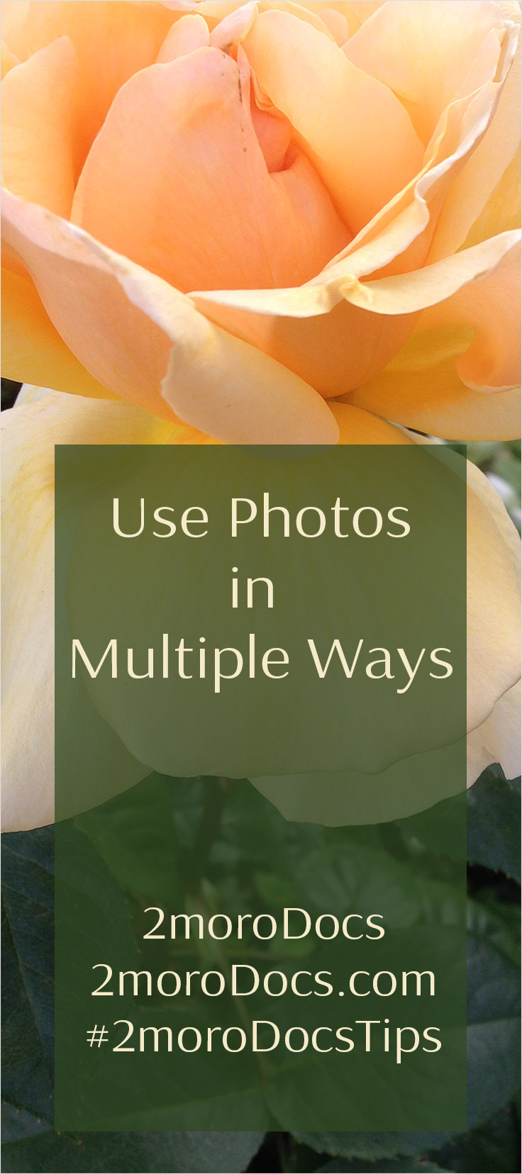 Use Photos in Multiple Ways (Tip 10) - 2moroDocs